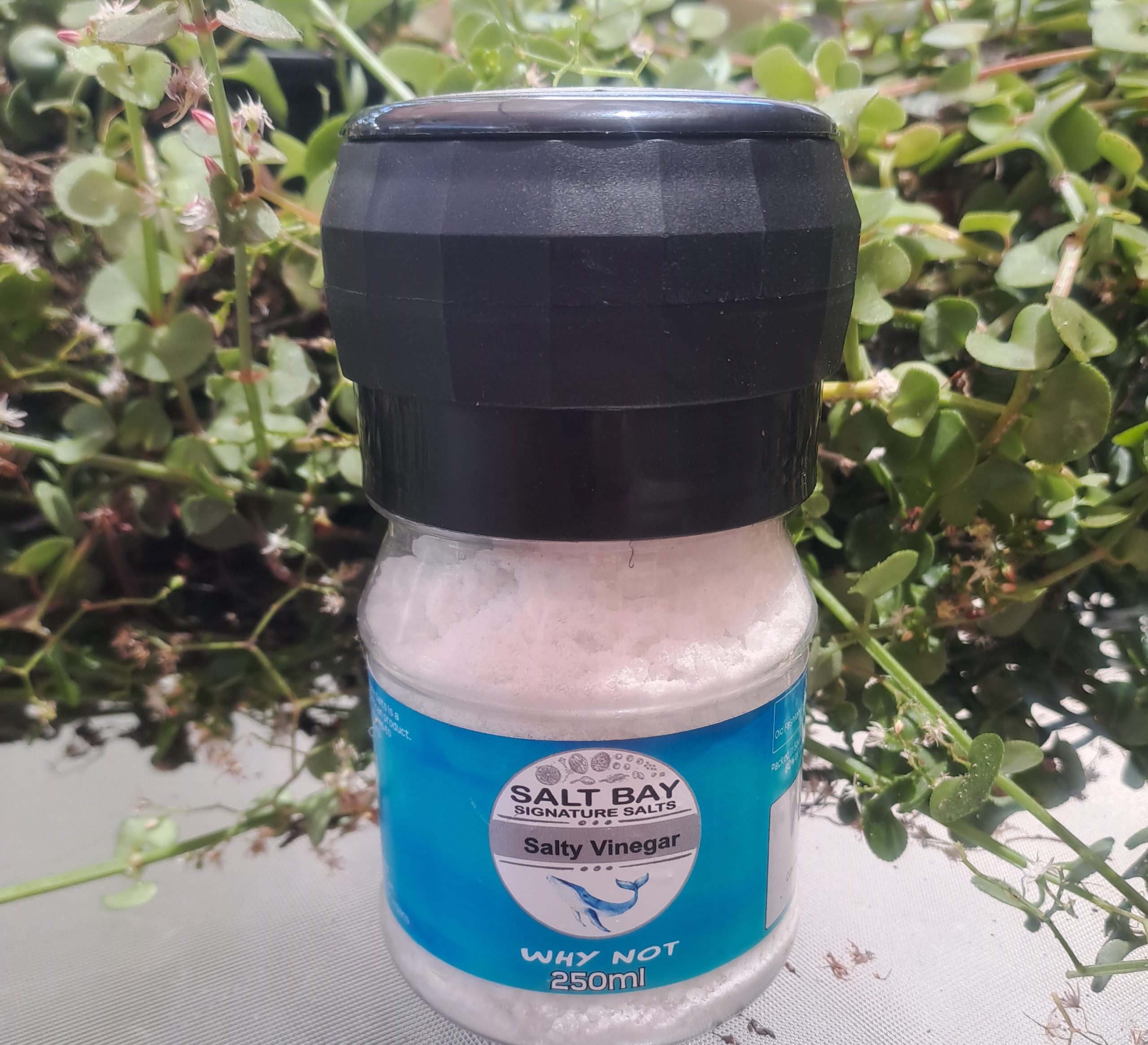 Salty Vinegar – Saltbay Signature Salts
